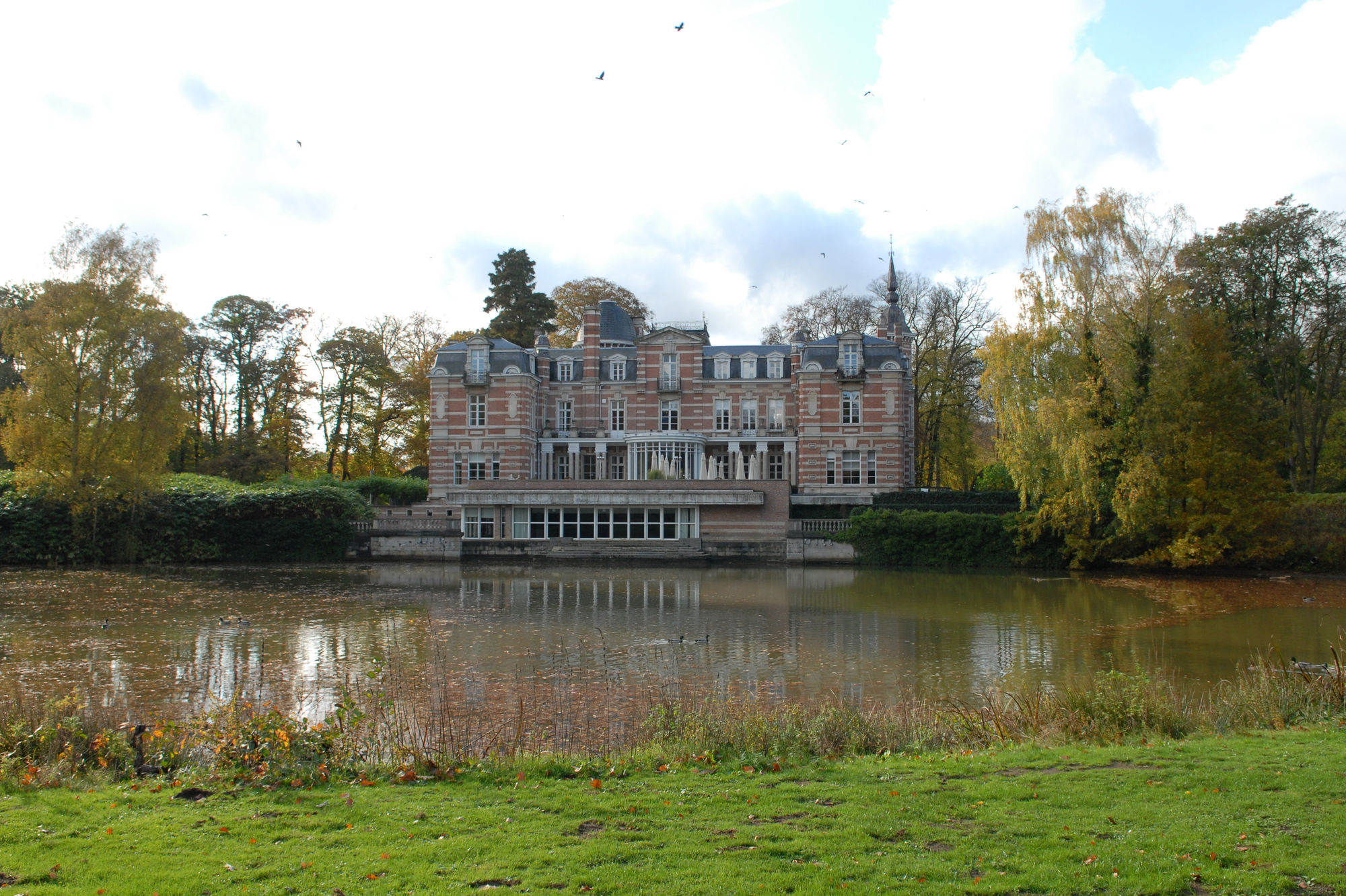 Parkwandeling in de Mik (Brasschaat).