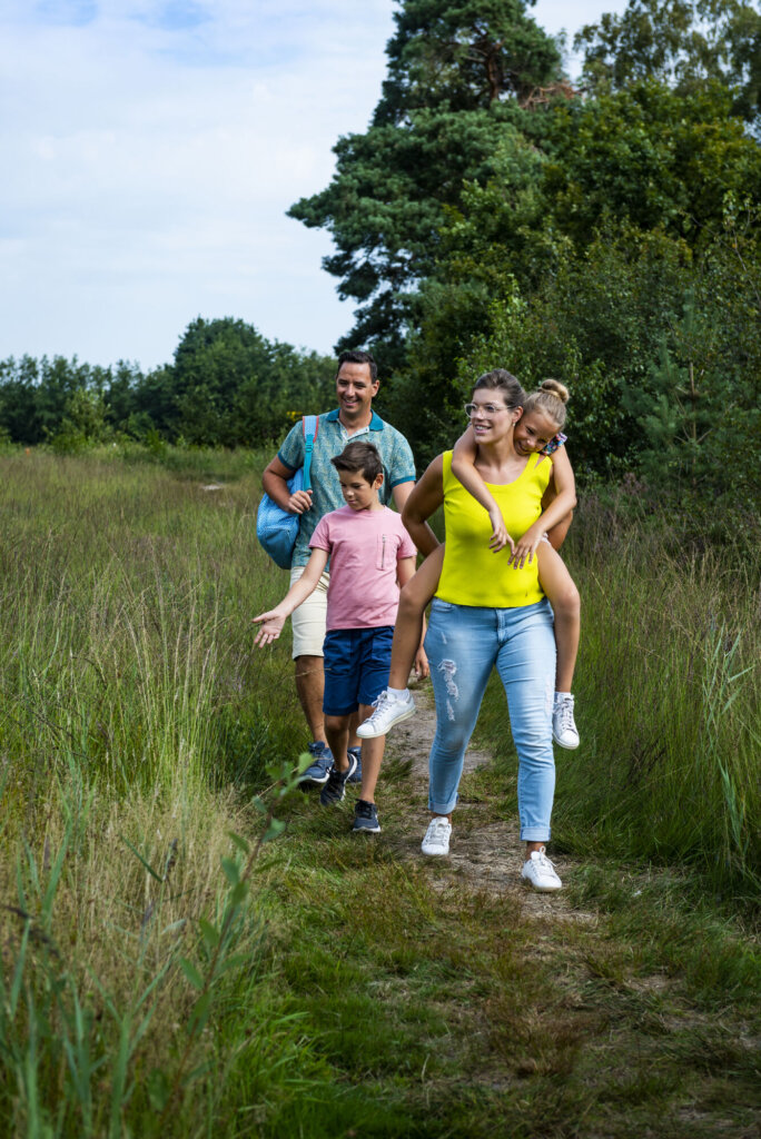 Stiltewandeling in Landschap De Liereman is mooiste wandeling van ...